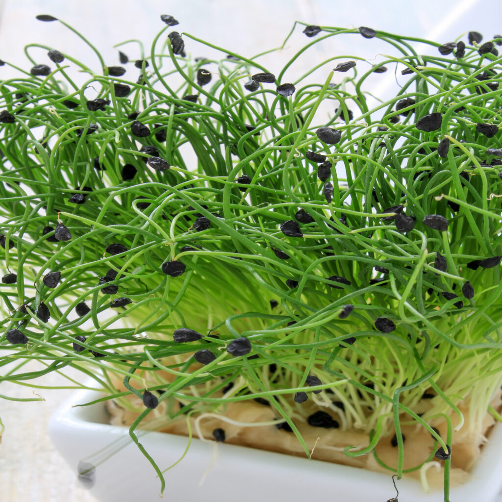 4. SPECIALTY MICROGREENS & EDIBLE FLOWERS - A&S Microgreens